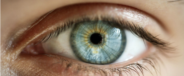 Wie houdt er een oogje op je ogen? - Startpagina blog