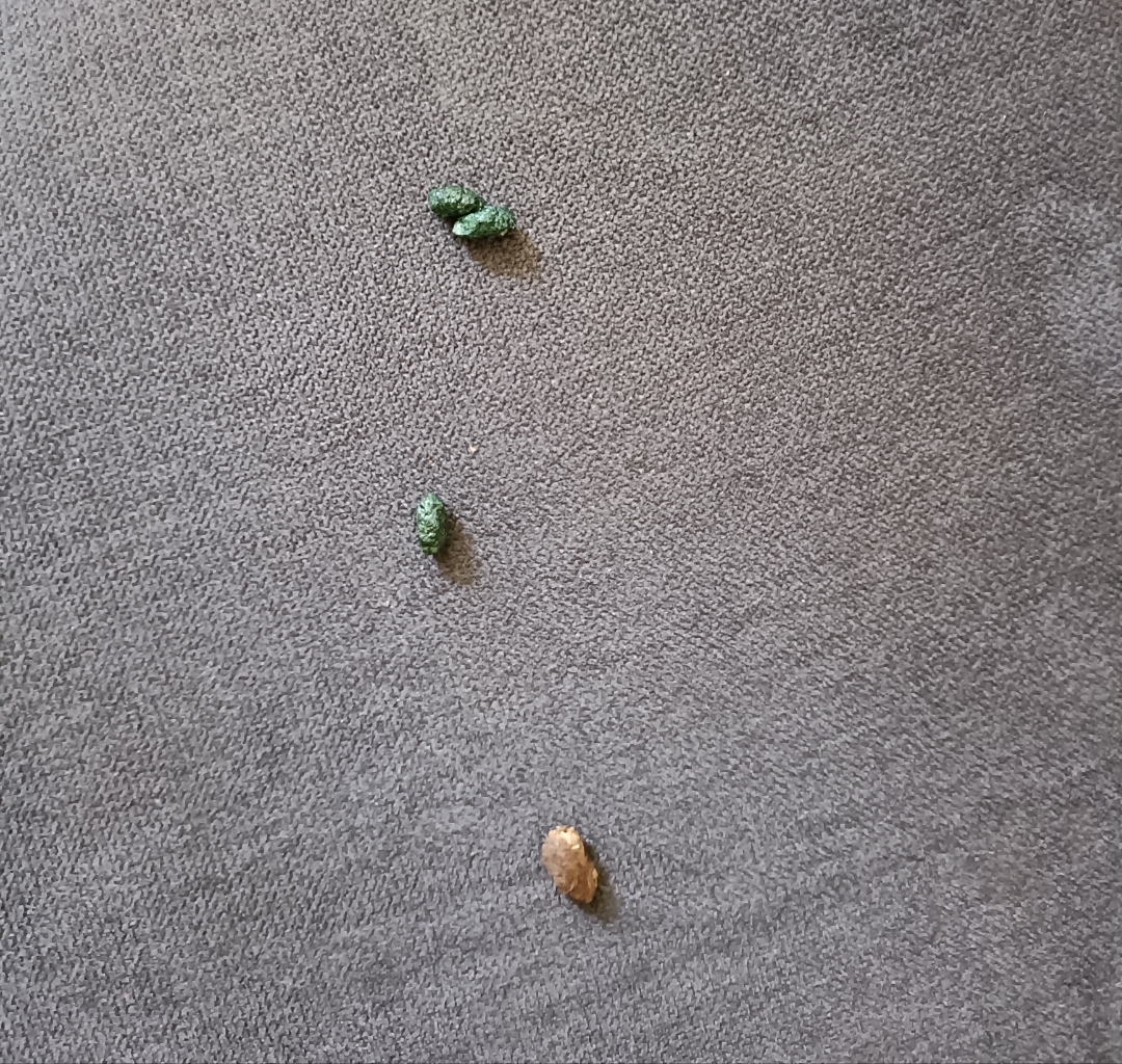 1 van mijn nieuwe ratten heeft erg groene ontlasting, is dit normaal ...